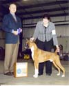 Winstons Page